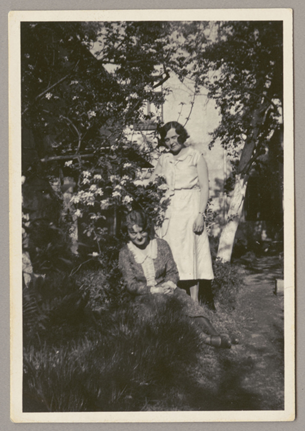 MHF 1050/II – Katalog On-Line