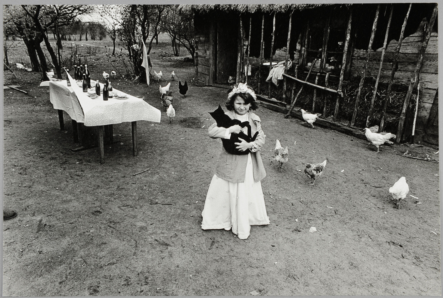 MHF 22626/II – Katalog On-Line