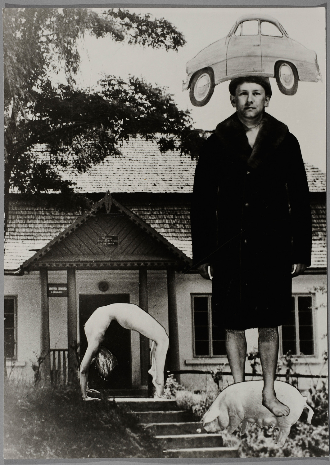 MHF 22970/II – Katalog On-Line