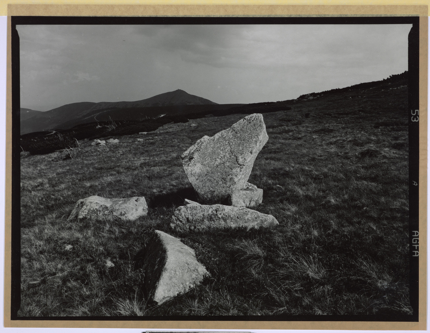 MHF 36305/II – Katalog On-Line